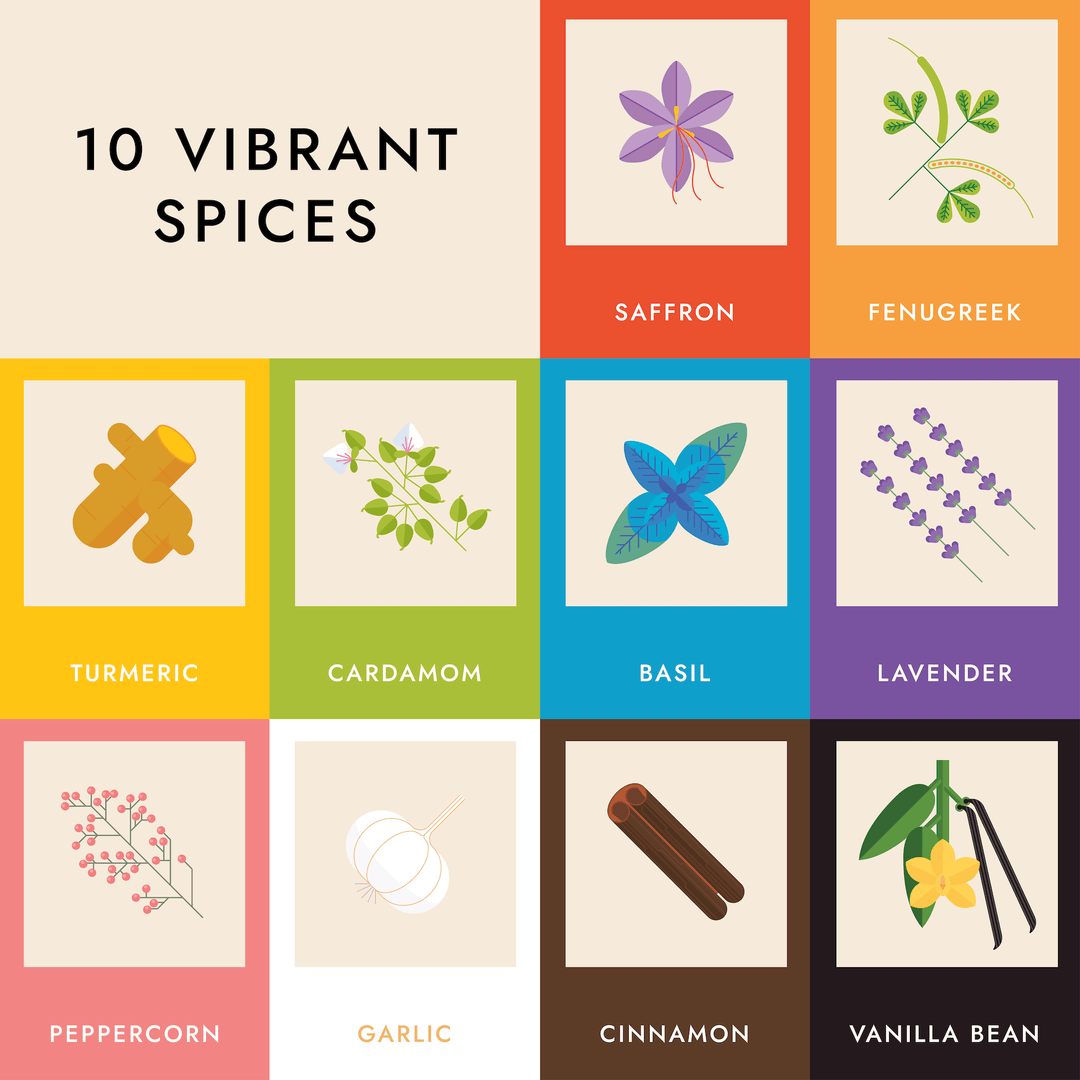 Spice Rainbow Board Book | Take Baby on a Tour of Flavor – Chunky Deli