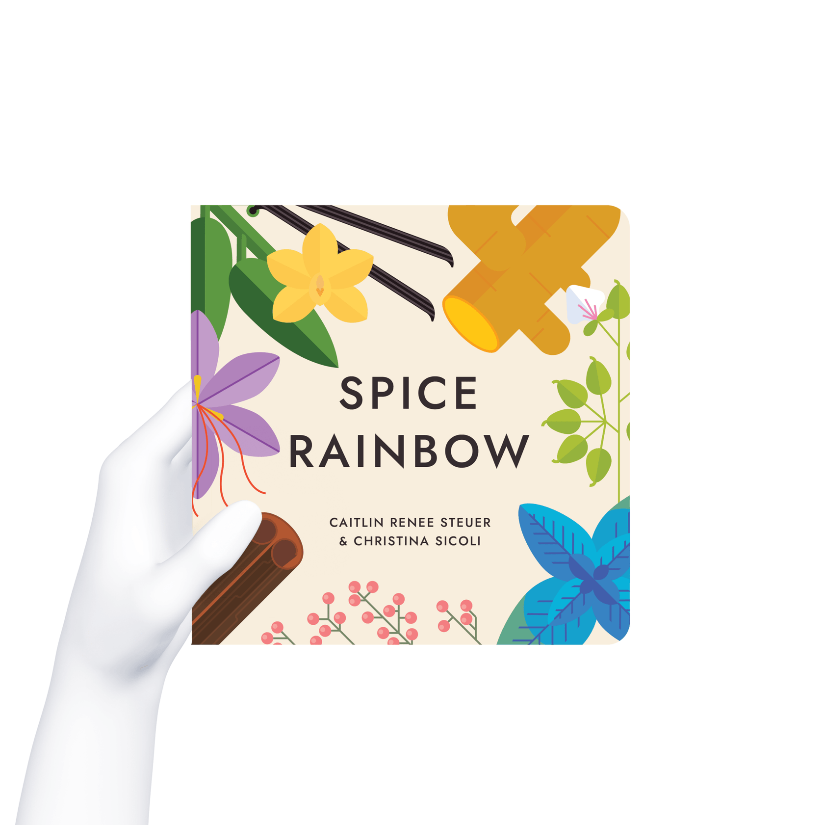 Spice Rainbow Board Book | Take Baby on a Tour of Flavor – Chunky Deli