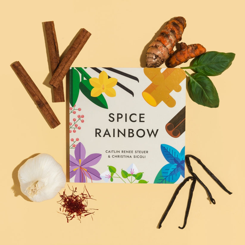 Spice Rainbow Board Book | Take Baby on a Tour of Flavor – Chunky Deli